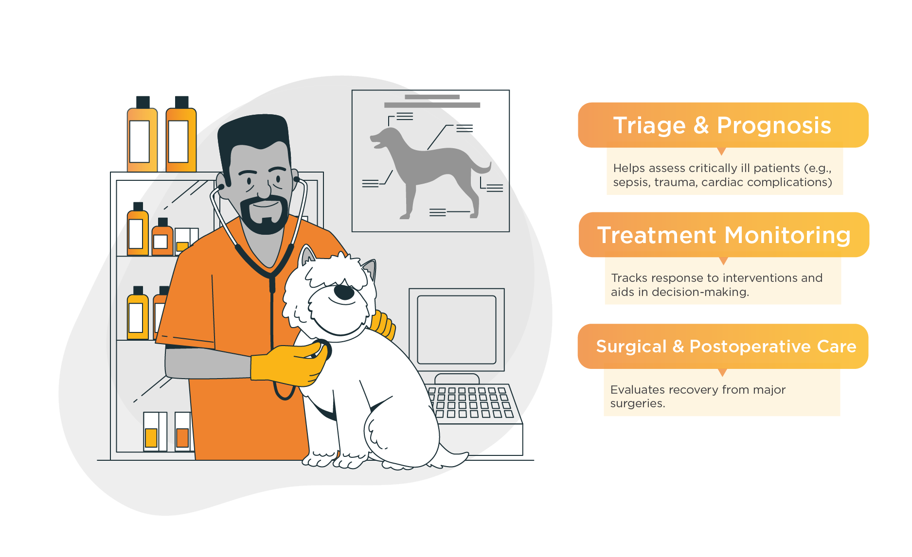 Veterinary Care Guide - EKF Diagnostics